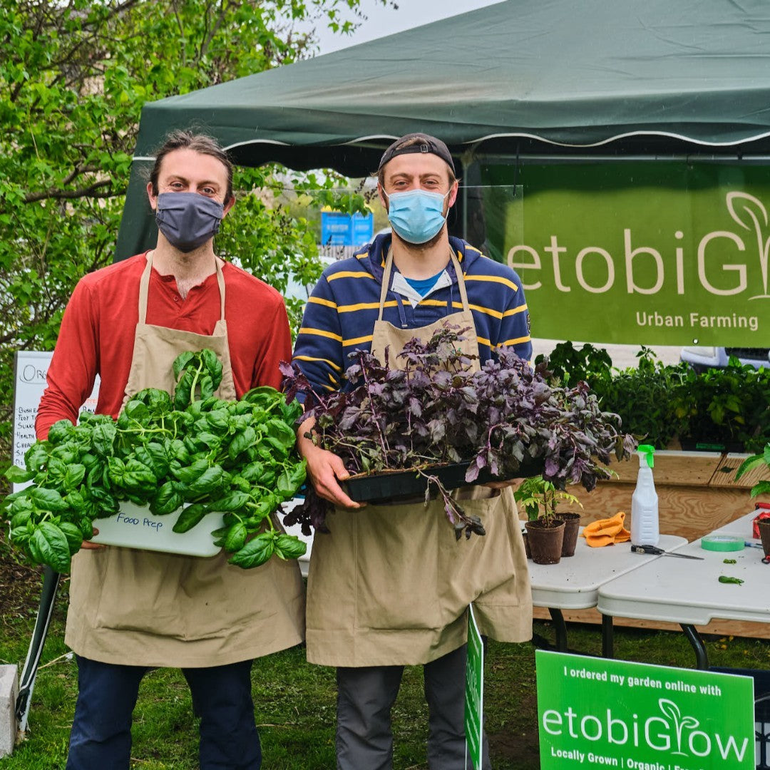 etobiGrow | Urban Farm and Nursery